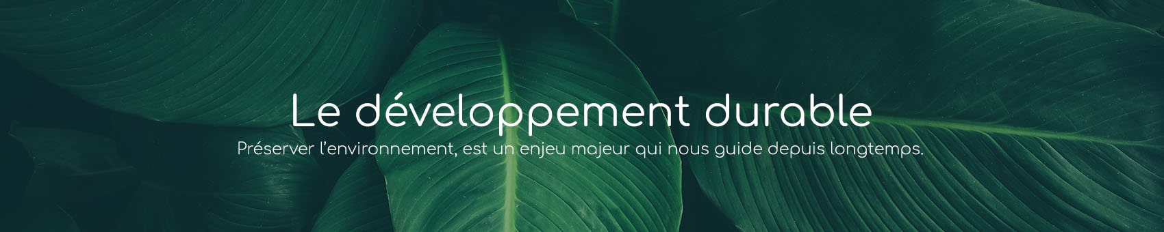 Nos engagements - SRDi